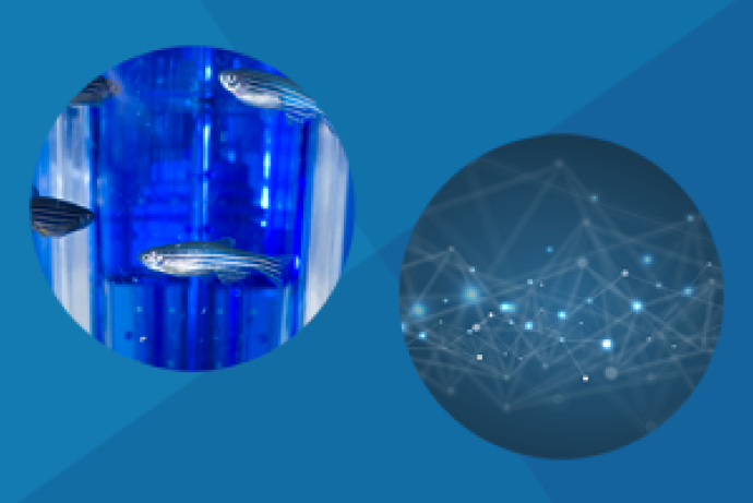 Discover 3Rs innovations from the NC3Rs | Innovation Platform