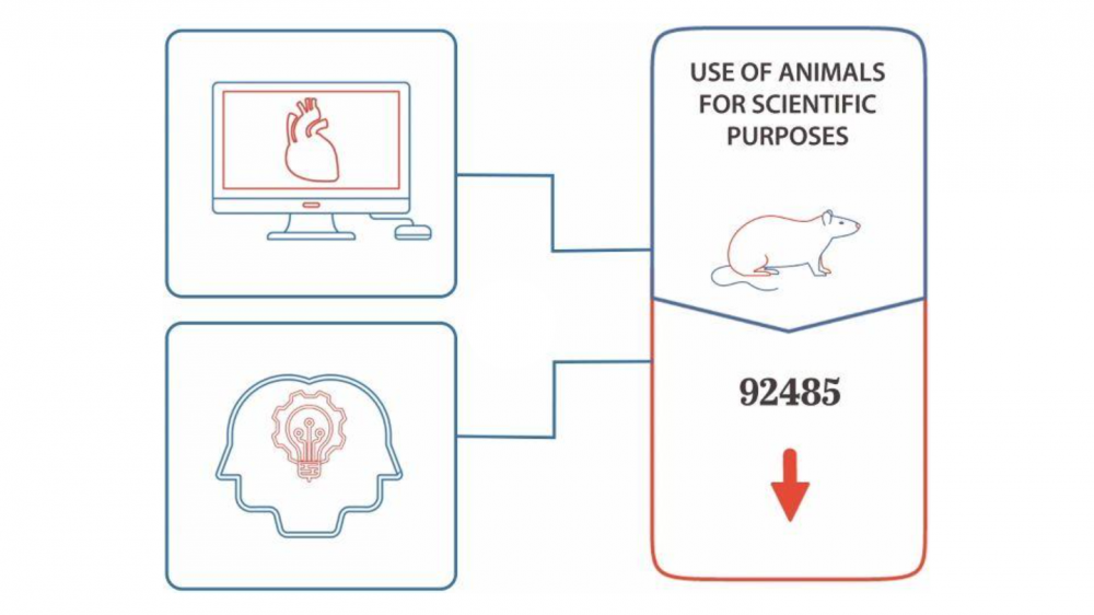 3Rs for the public | NC3Rs