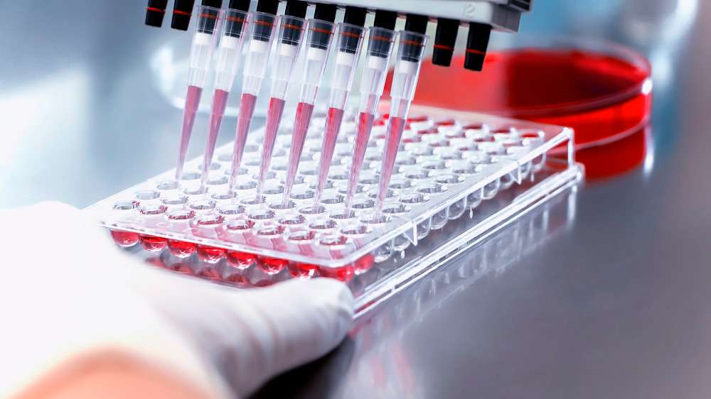 New approach methodologies hub | NC3Rs