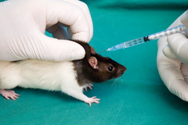 Abuse potential studies | NC3Rs